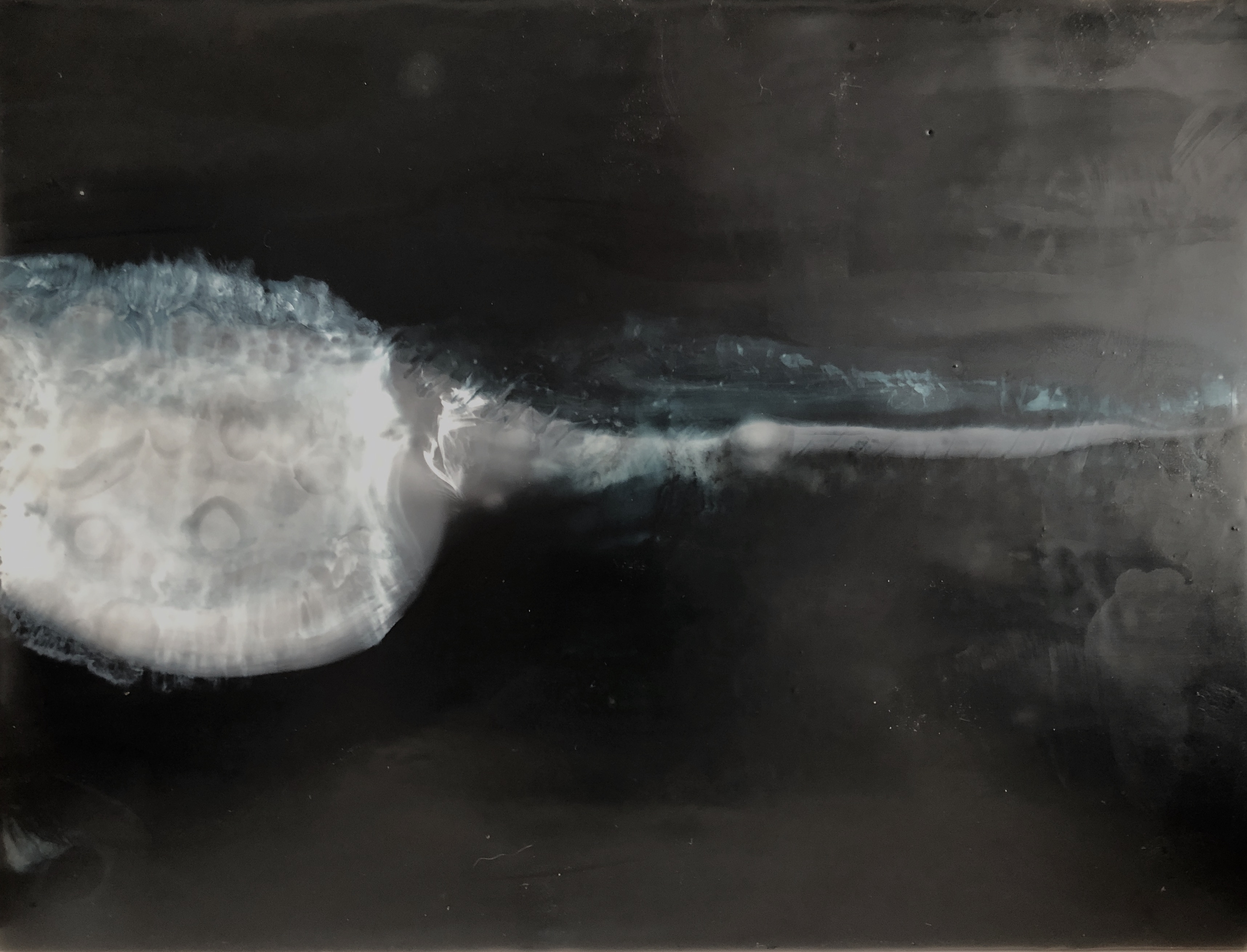 statement – STEPHANIE HARGRAVE STUDIO